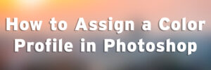 Color Management | Assigning a Color Profile – Imaging Center
