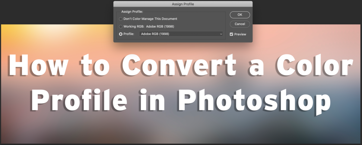Color Management | Assigning a Color Profile – Imaging Center